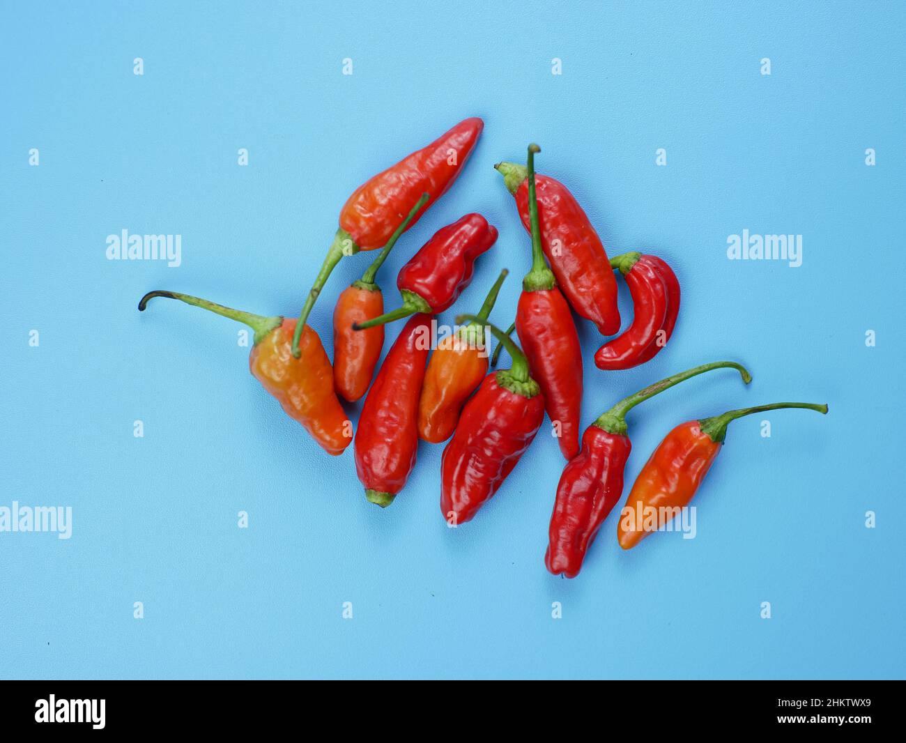 top view of red chili with blue background. suitable for seasoning and ...