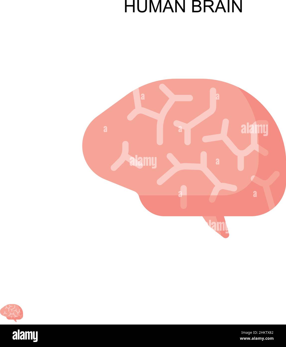 Human brain Simple vector icon. Illustration symbol design template for ...
