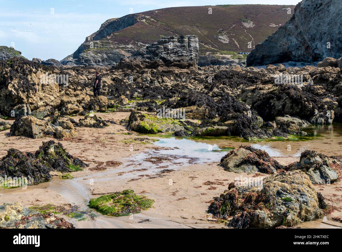 Seaside family rock pools hi-res stock photography and images - Alamy