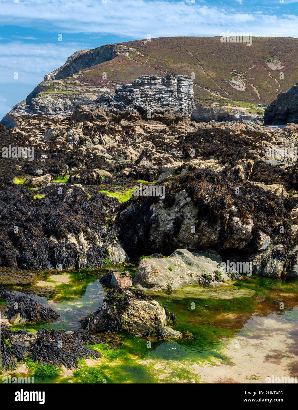 Seaside family rock pools hi-res stock photography and images - Alamy