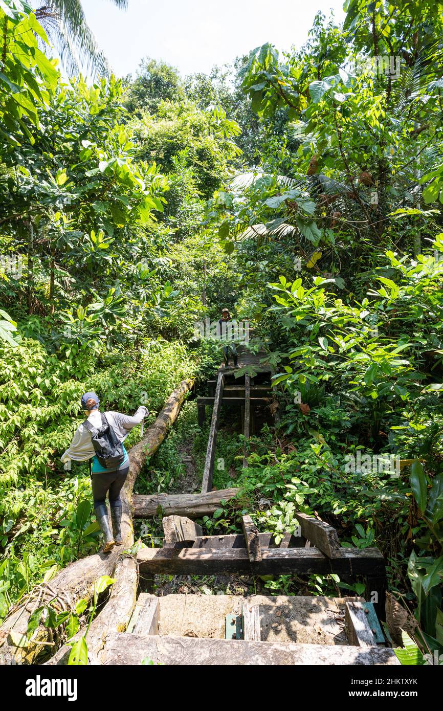 dangerous crossing on a broken wooden bridge Stock Photo - Alamy