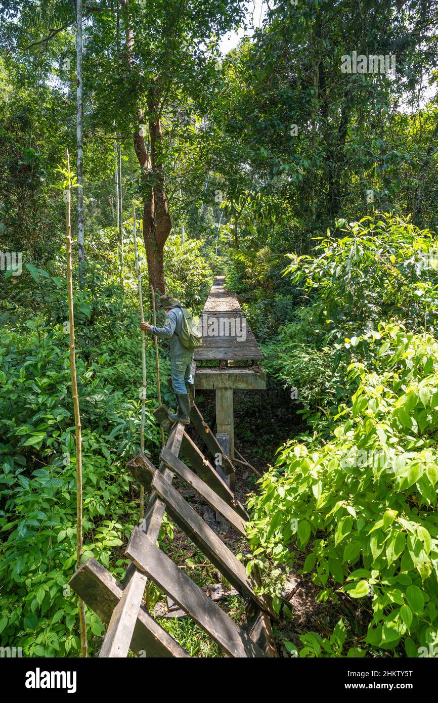 dangerous crossing on a broken wooden bridge Stock Photo - Alamy