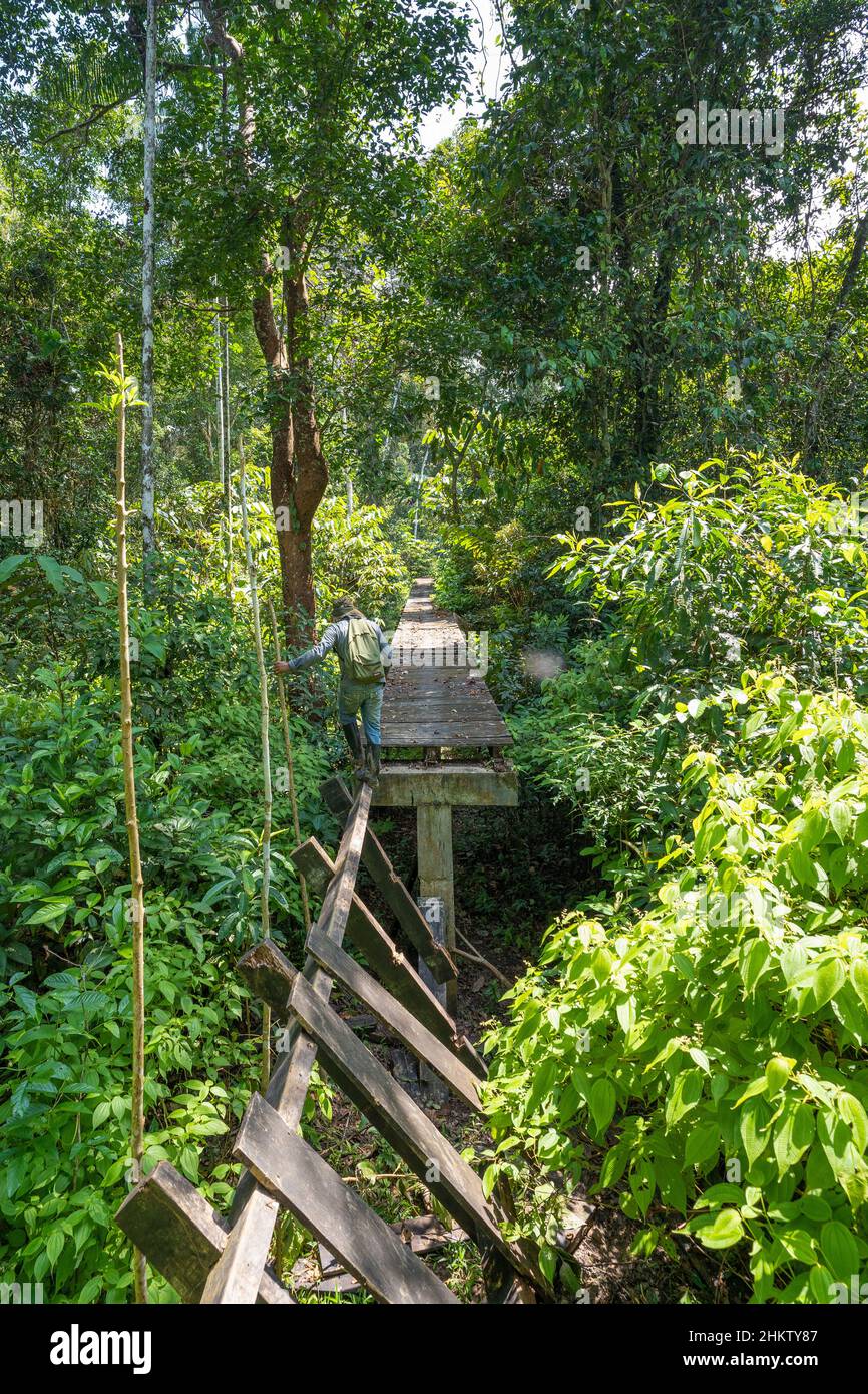 Broken wooden bridge hi-res stock photography and images - Alamy
