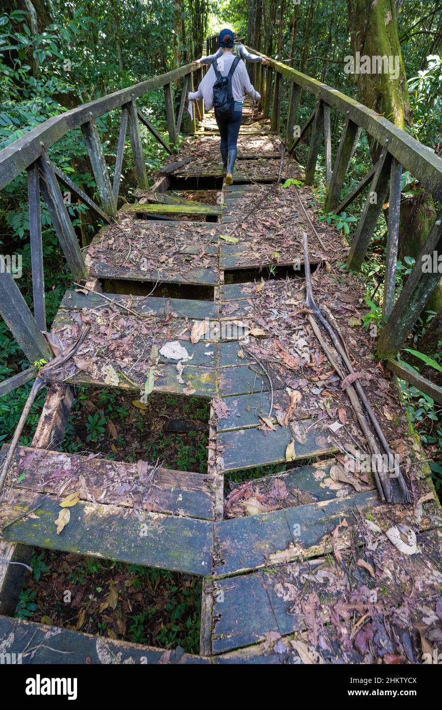 dangerous crossing on a broken wooden bridge Stock Photo - Alamy