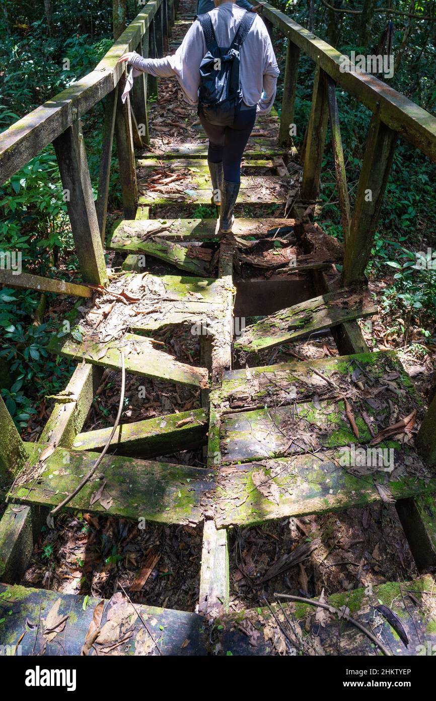 dangerous crossing on a broken wooden bridge Stock Photo - Alamy