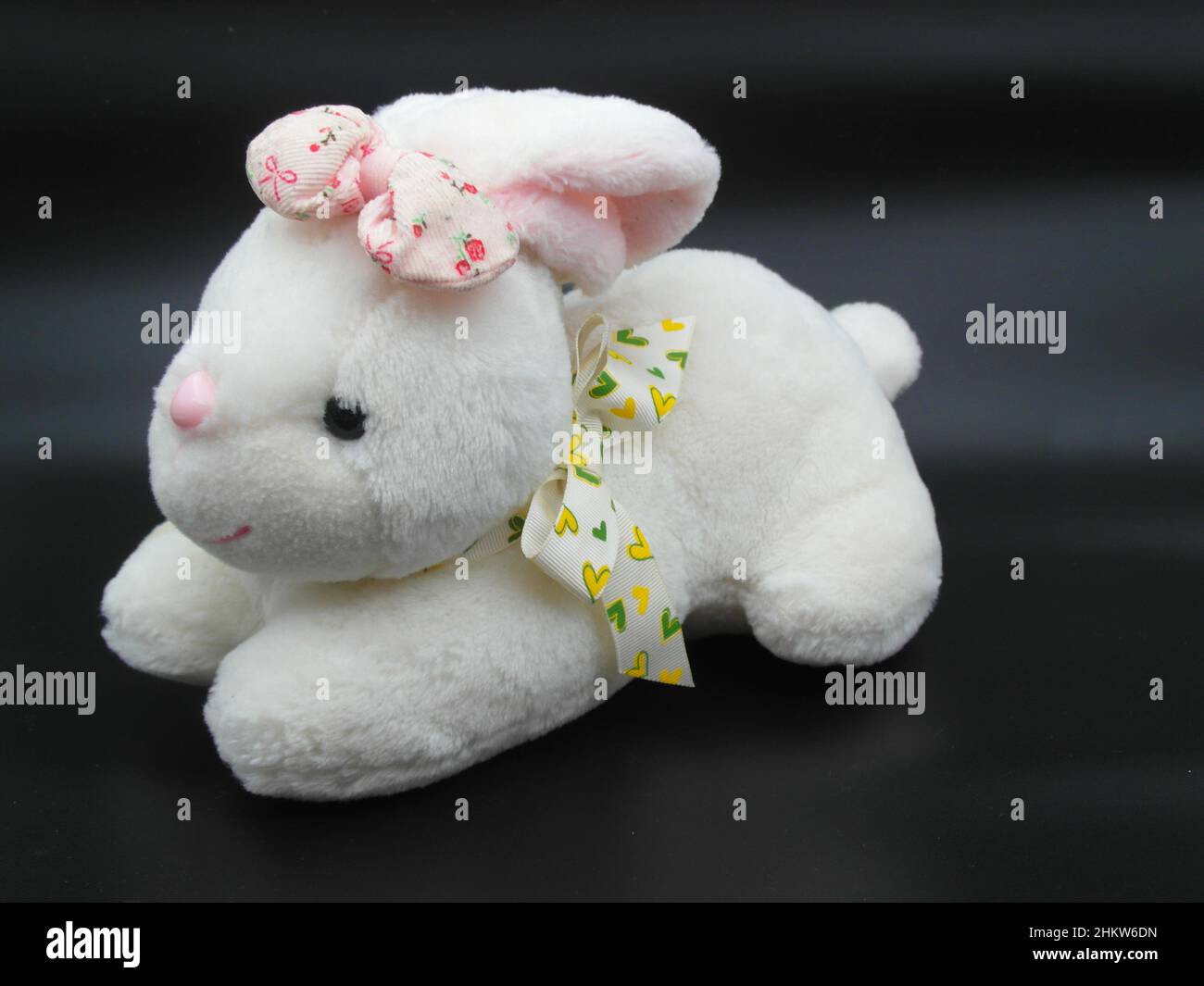 Bunny rabit toy hi-res stock photography and images - Alamy