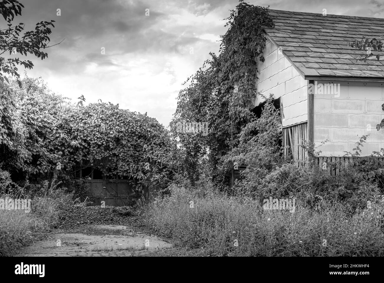 Grayscale shot of rural house with trees in garden and grass Stock ...