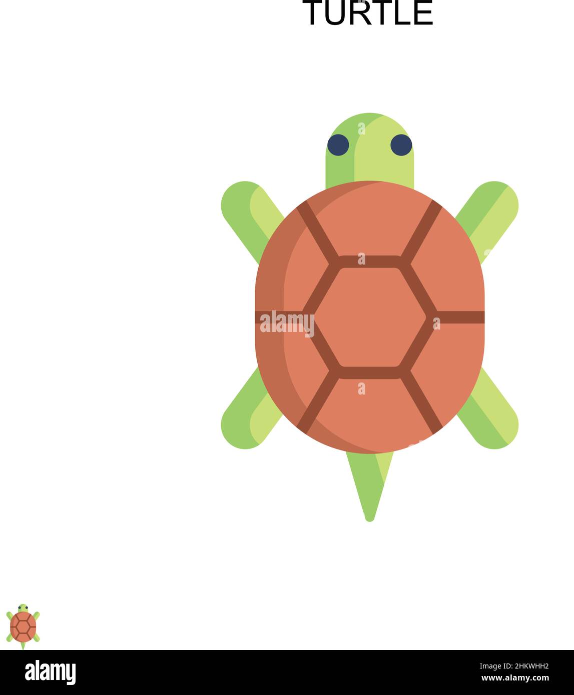 Simple Turtle Designs