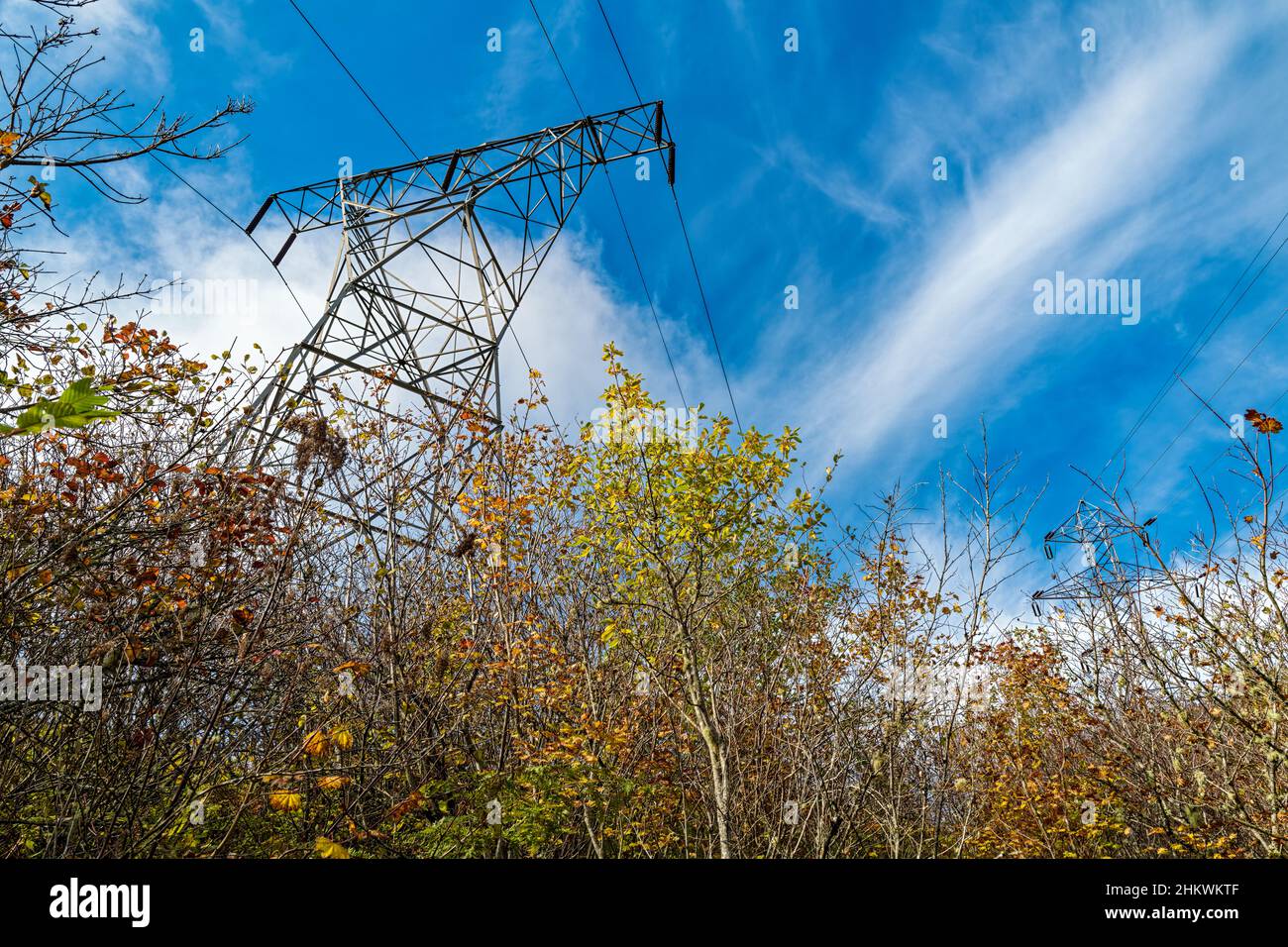 Power lines run above autumn foliage in Beacon Rock State Park ...