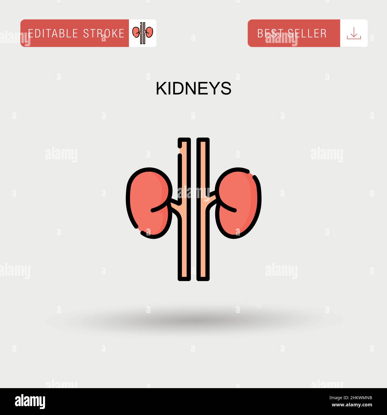 Kidneys Simple vector icon Stock Vector Image & Art - Alamy