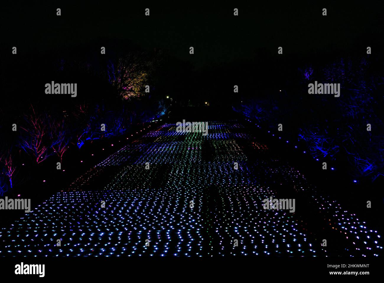 Path made of many colorful lights at night. Diminishing perspective of ...