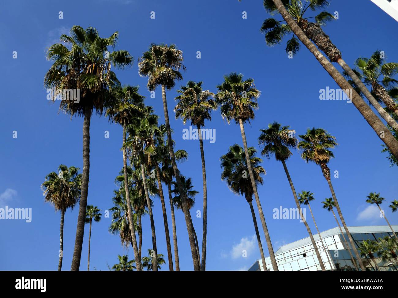 Los Angeles, California, USA 1st February 2022 A general view of ...