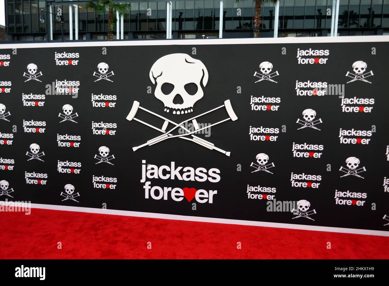 Jackass Logo Wallpaper