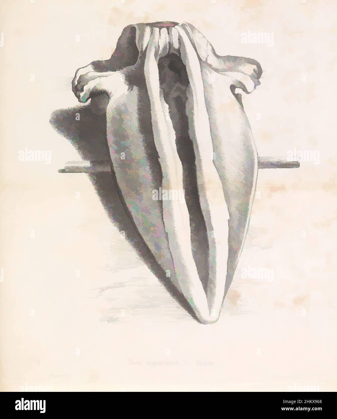 Art inspired by Skull of the whale, 1827, Face supérieure du Crâne, The ...