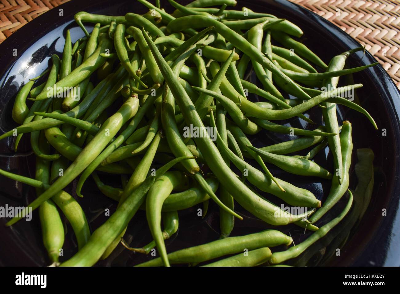 Mungri hi-res stock photography and images - Alamy