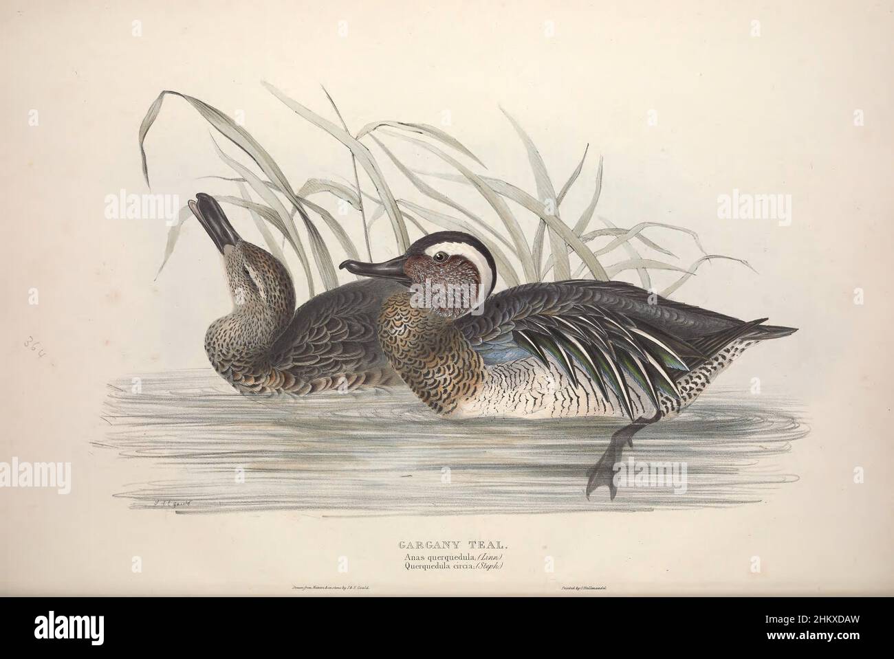 John teal hi-res stock photography and images - Alamy