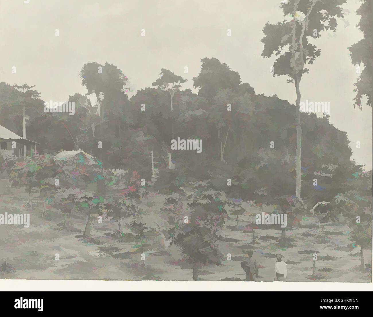 Art inspired by Plantation, A small plantation with trees on a slope ...