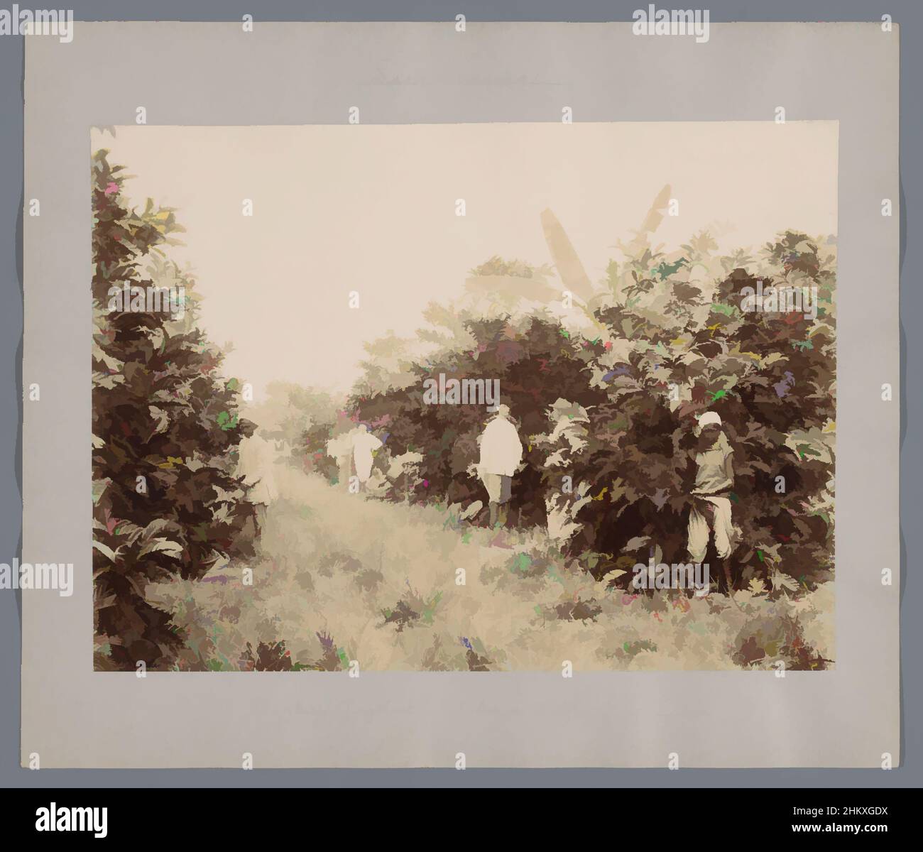 Art inspired by Plantation Jagtlust - Liberia Coffee, Pickers and ...