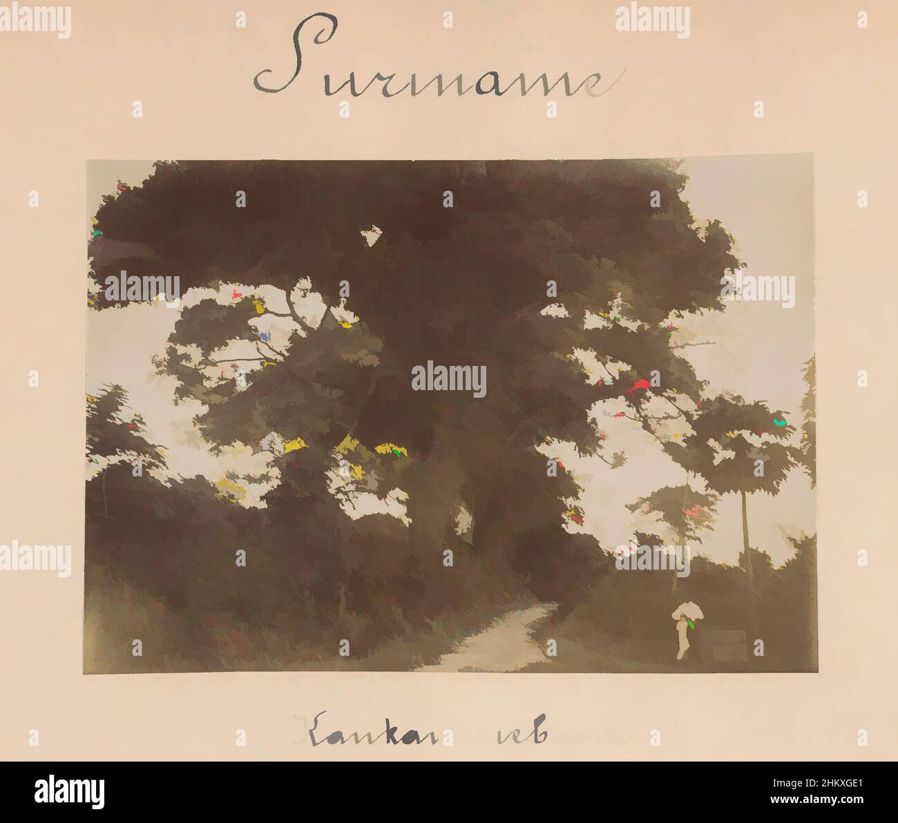 Art inspired by Kankantrie tree, A large kankantrie (wild kapok tree ...