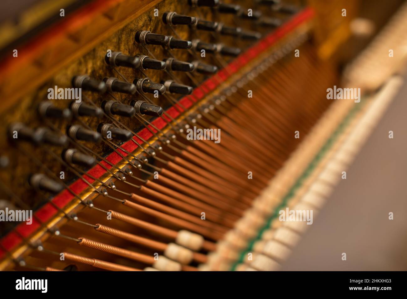 A close-up view inside all the strings of the piano Stock Photo - Alamy