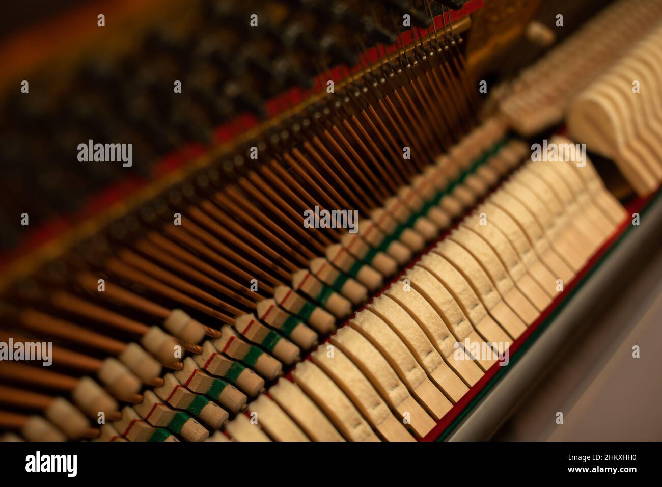 A close-up view inside all the strings of the piano Stock Photo - Alamy