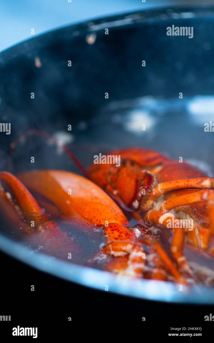 Vertical shot of boiling lobsters in a fish market in Italy Stock Photo ...