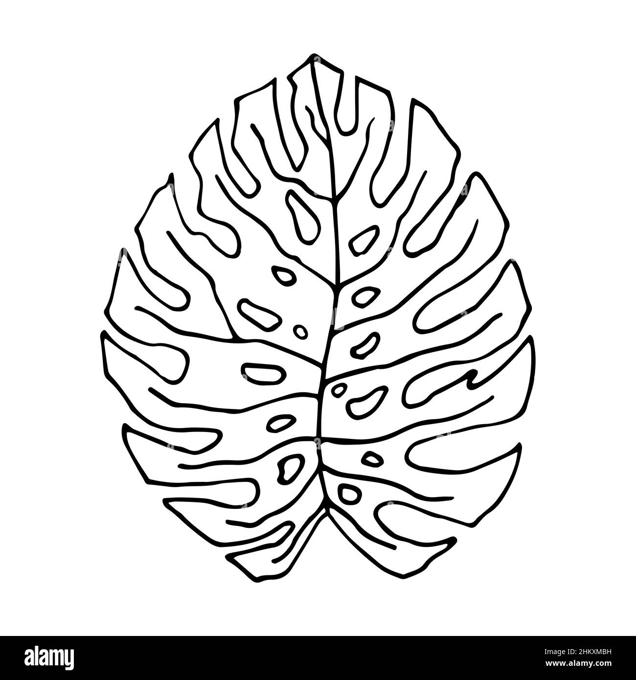 Monstera leaf in doodle style. Tropical leaf sheet with holes. Home ...