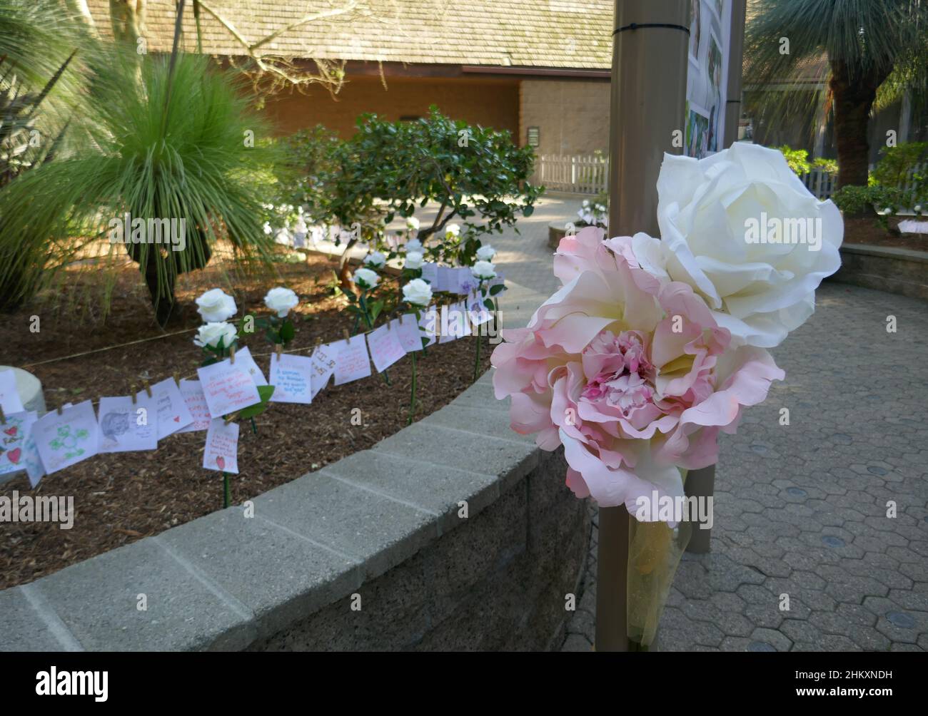 Los Angeles, California, USA 21st January 2022 Betty White's Zoo ...
