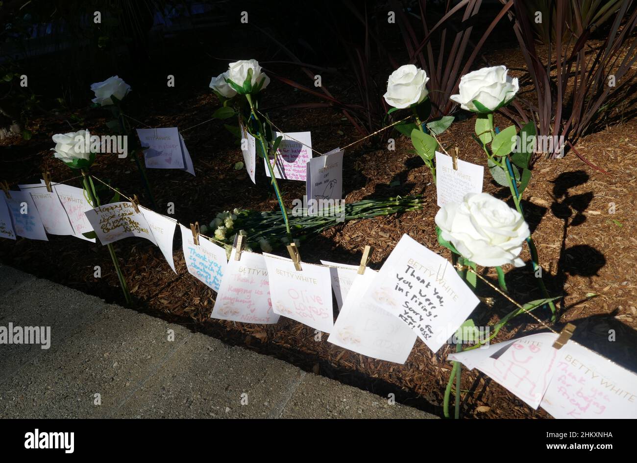 Los Angeles, California, USA 21st January 2022 Betty White's Zoo ...