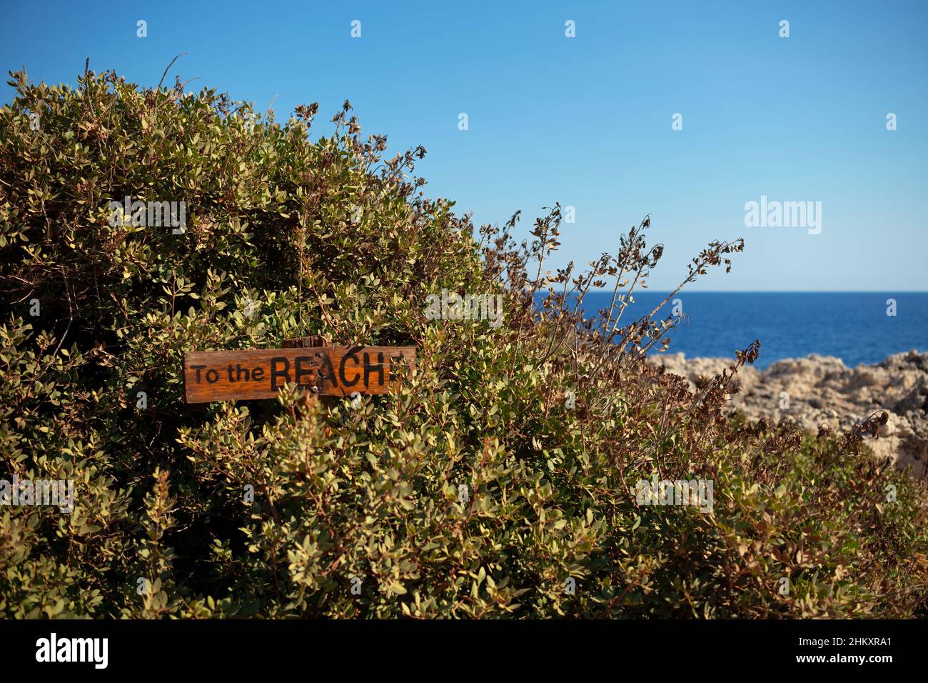 Sign hidden in bush showing way to the beach with a view of blue sky ...