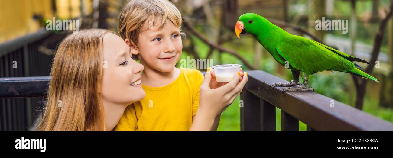 Mom and son feed the parrot in the park. Spending time with kids ...