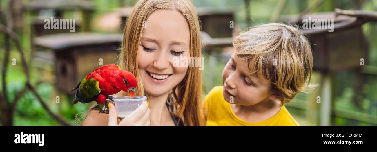 Mom and son feed the parrot in the park. Spending time with kids ...