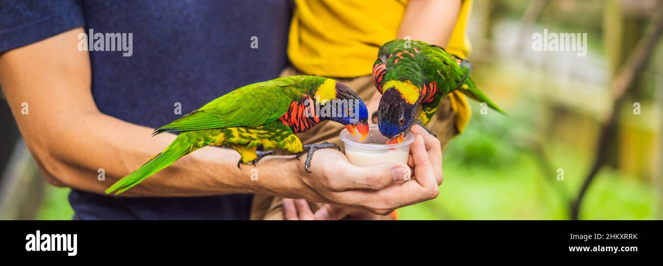 Dad and son feed the parrot in the park. Spending time with kids ...