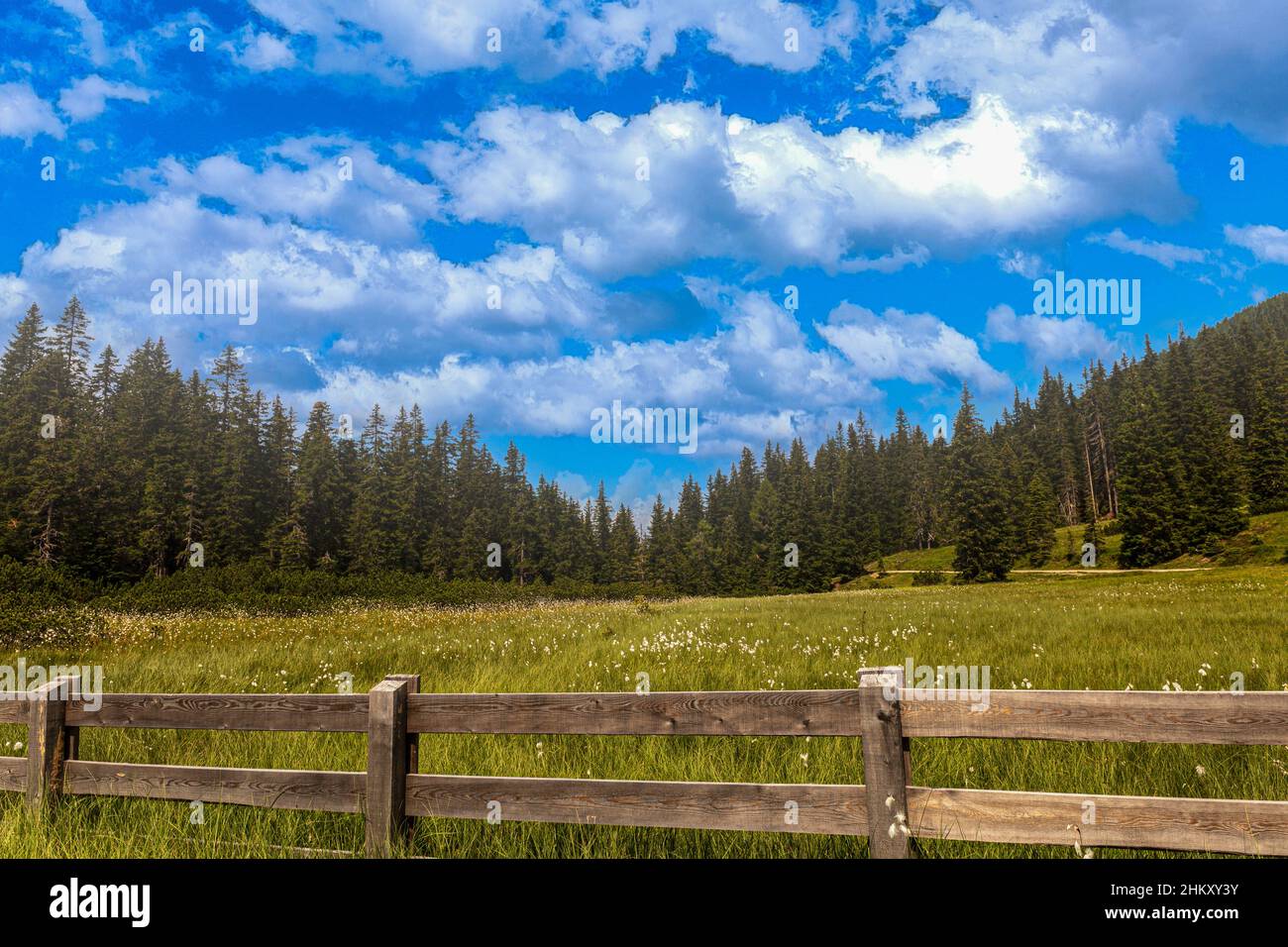 Typical alpine pastures of the regions of northern Italy Stock Photo ...