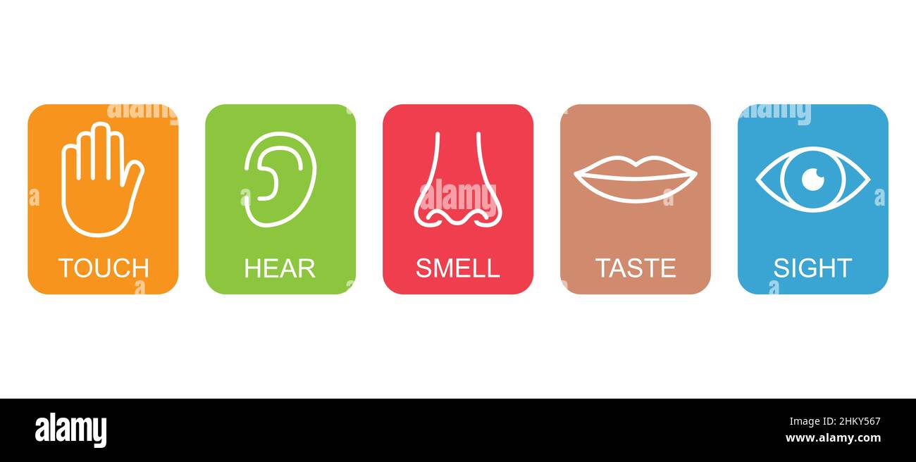Outline icon set of five human senses: vision eye smell nose hearing ...