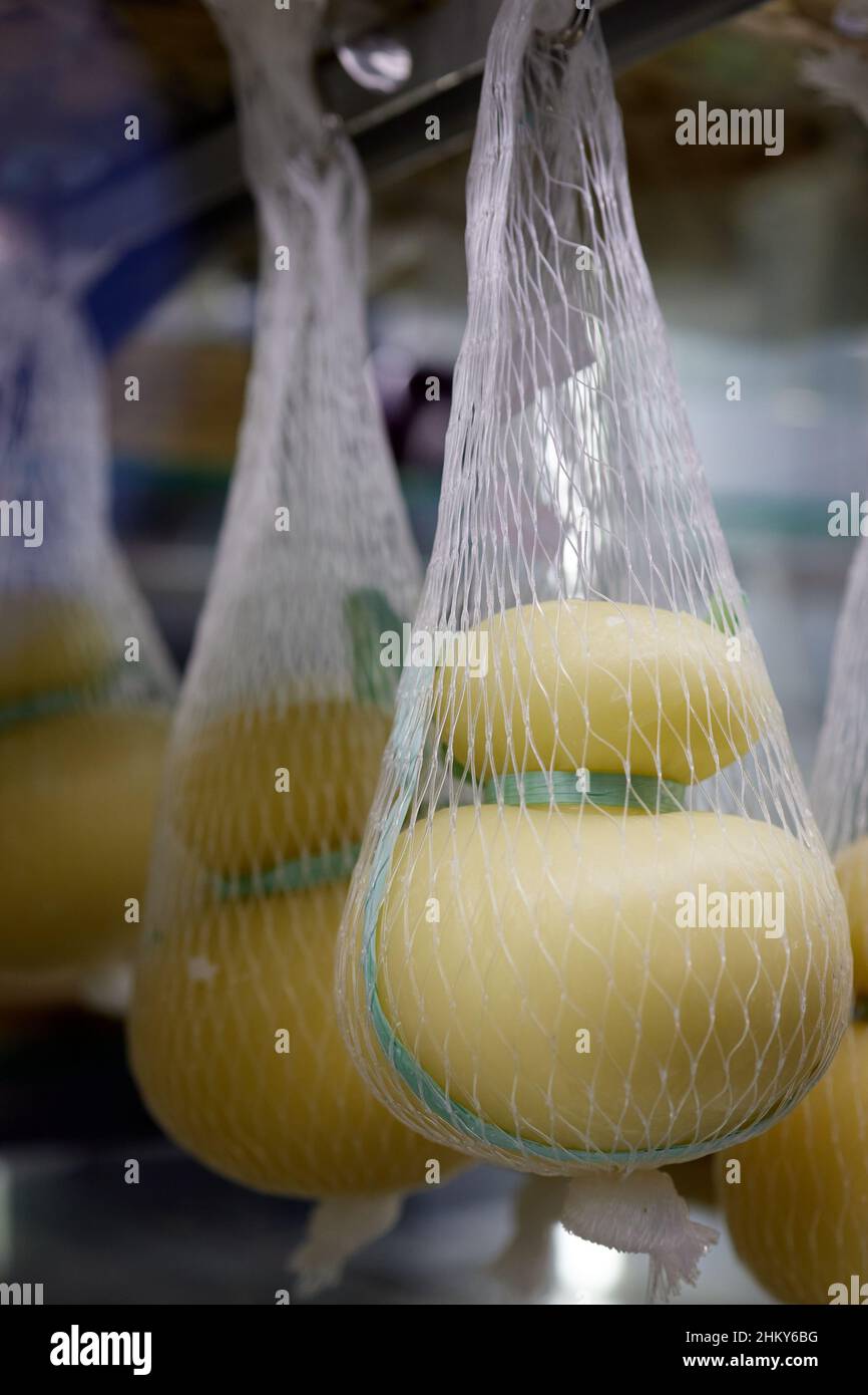 Delicious fresh Caciocavallo and Scamorza cheese hanging. Italian ...