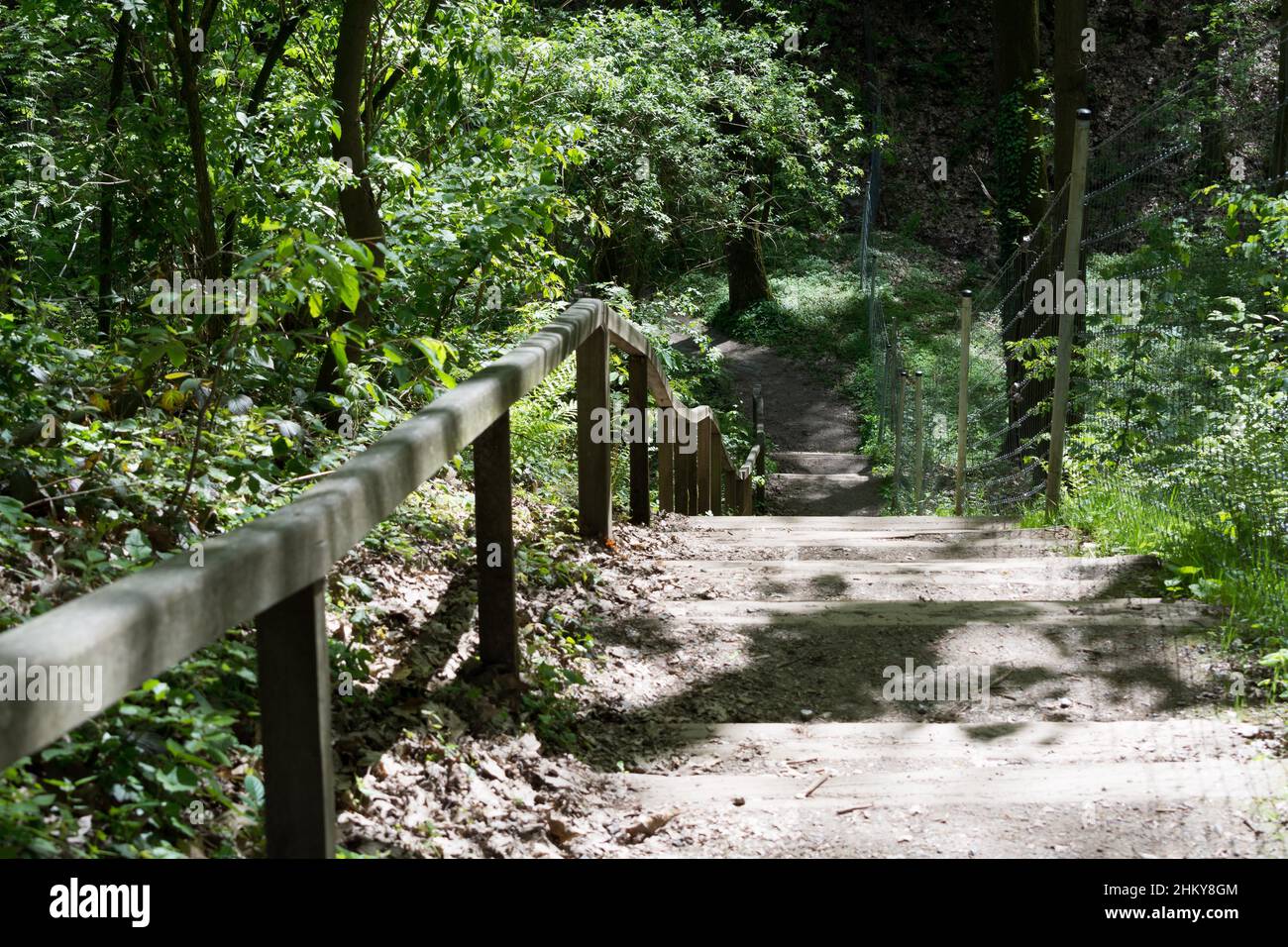 On the community narrow path of narrow stepping stones with handrail in ...