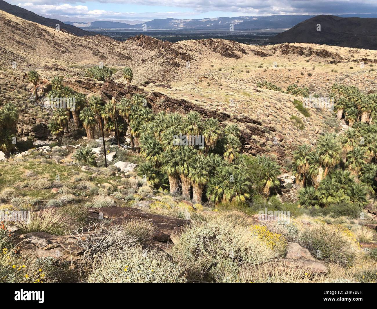 Joshua trees aerial hi-res stock photography and images - Alamy