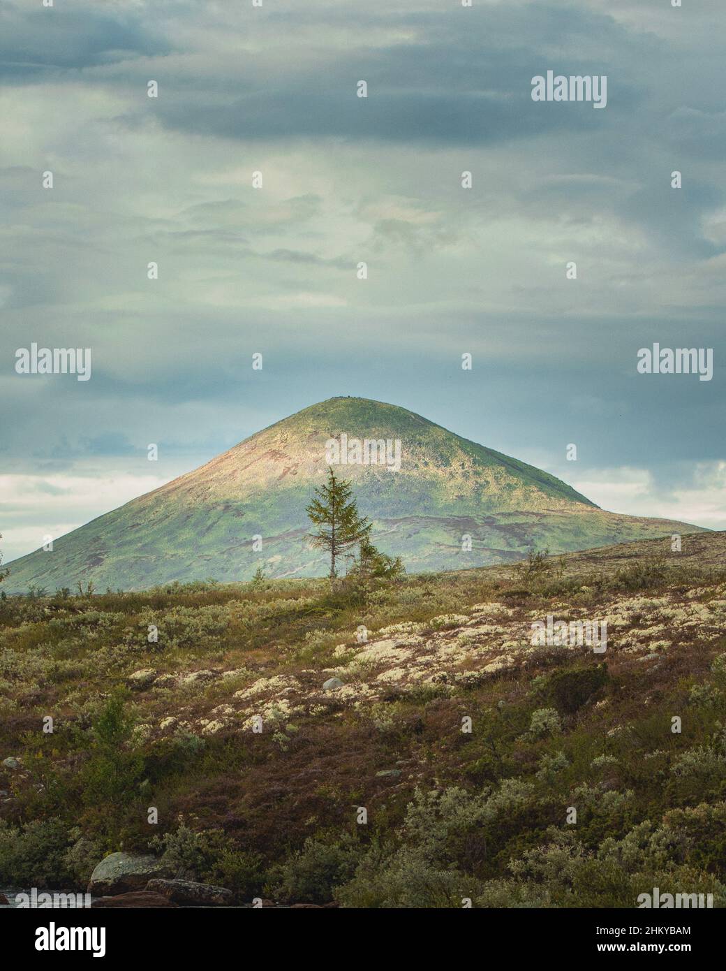 Natural view of the Hoverla mountain in Ukraine under a gloomy sky ...