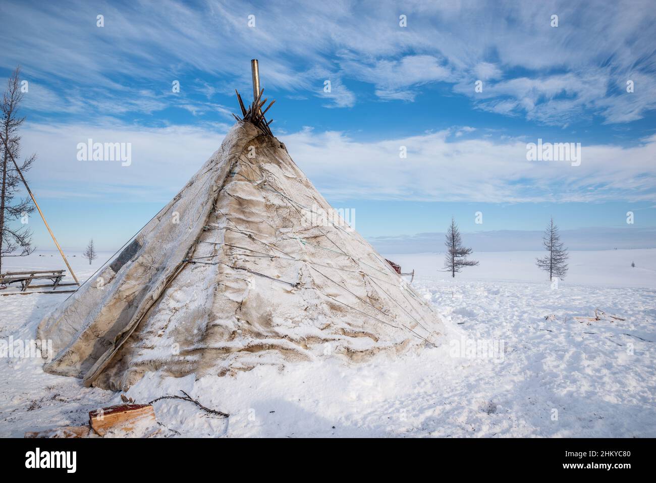 A Nenet chum (tent covered with reindeer skins) in a snow-white tundra ...