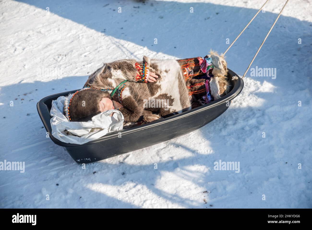 A Nenet young boy sleeping on a plastic sled at the Reindeer Herders ...