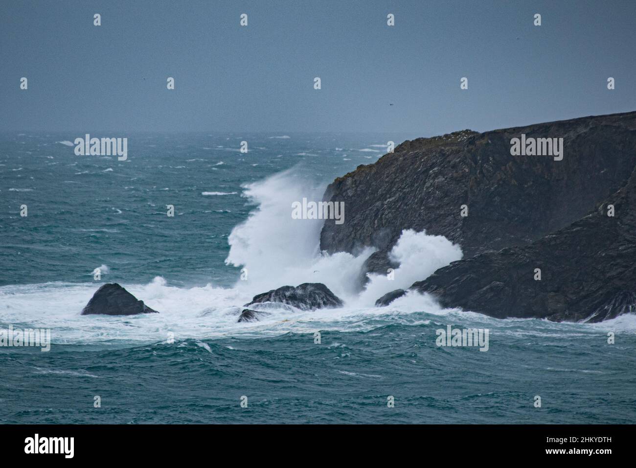 Bear a resemblance hi-res stock photography and images - Alamy