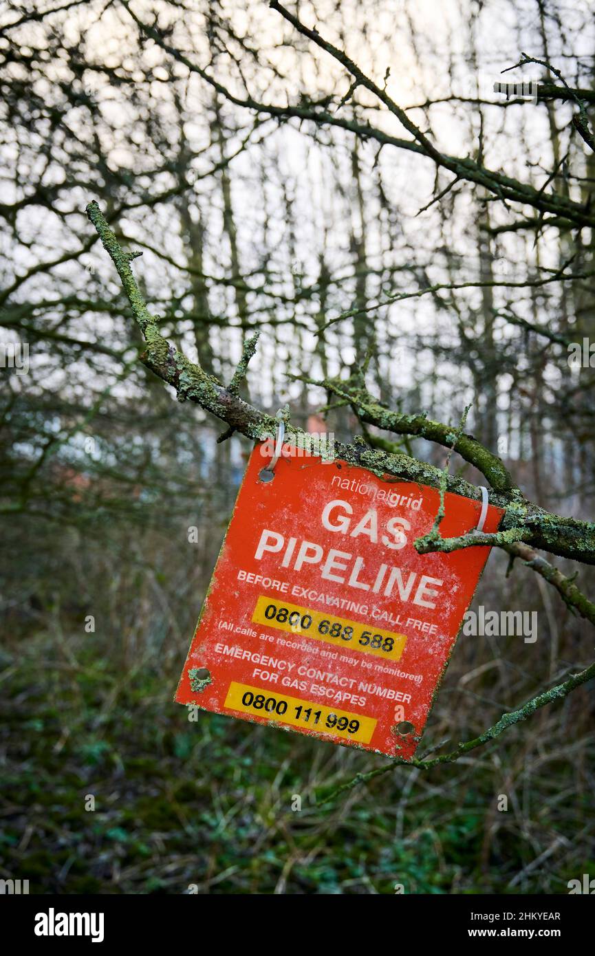 Gas pipeline label attached to branch of tree in woodland Stock Photo ...
