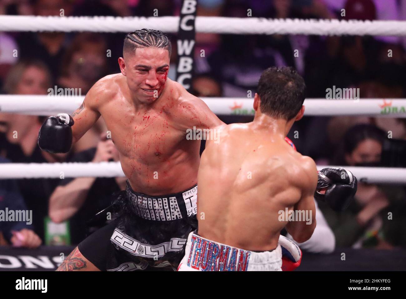 Alejandro barrios boxer - easybatman