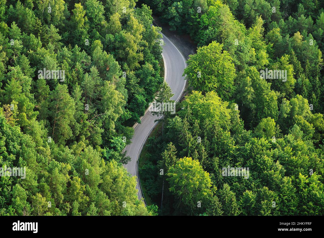 An ariel shot of a curvy narrow road in the middle of the forest ...