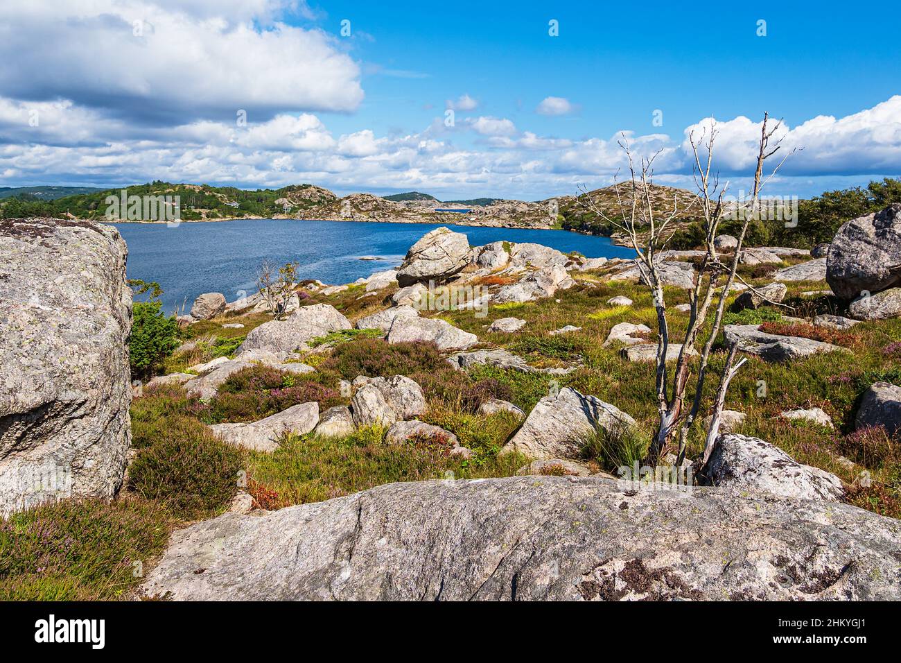 Landscape on the archipelago island Skjernøya in Norway Stock Photo - Alamy