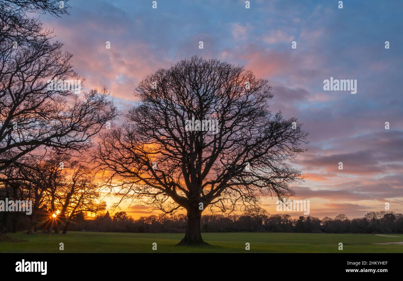 Sunset on Southampton Common Stock Photo - Alamy