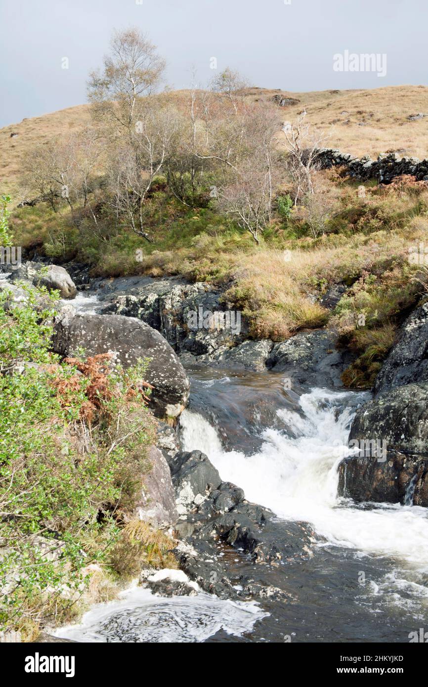 Loch trool walk hi-res stock photography and images - Alamy