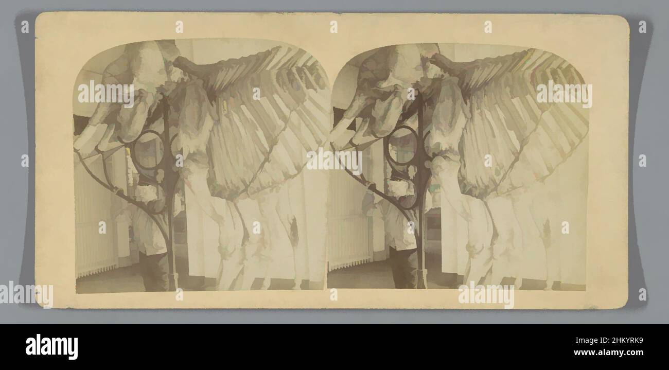 Cardboard skeleton hi-res stock photography and images - Alamy