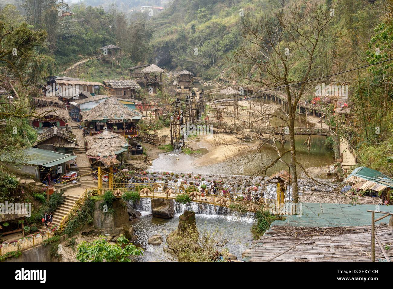 Cat cat sapa hi-res stock photography and images - Alamy